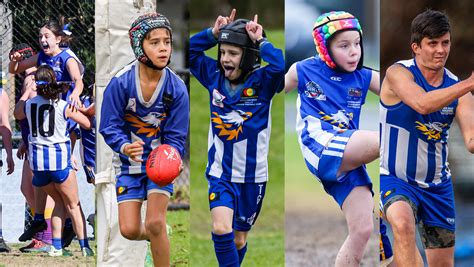 🖤🤍2025 Gfnl Fixture St Albans Football And Netball Club Facebook