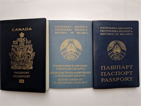 Один дома и свидетельство на возвращение в Беларусь Dots And Brackets