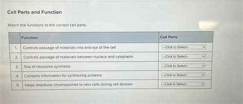 Solved Cell Parts And Functionmatch The Functions To The