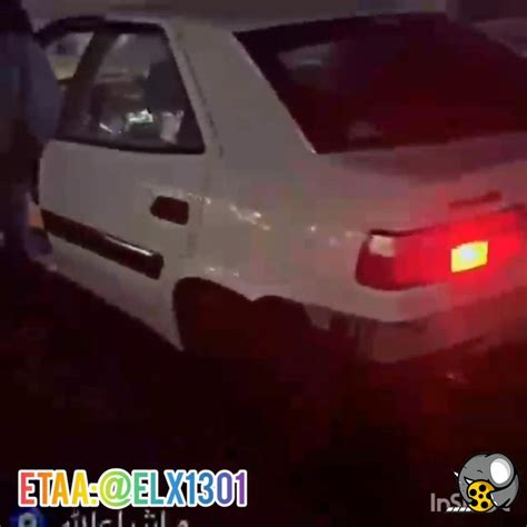 کاتاف زانتیا ‌ فیلو