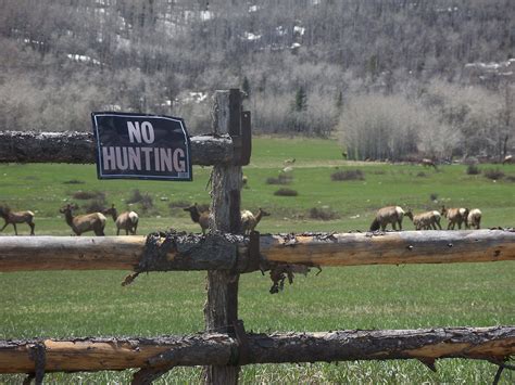 No Hunting You Upper Class Twits Pics