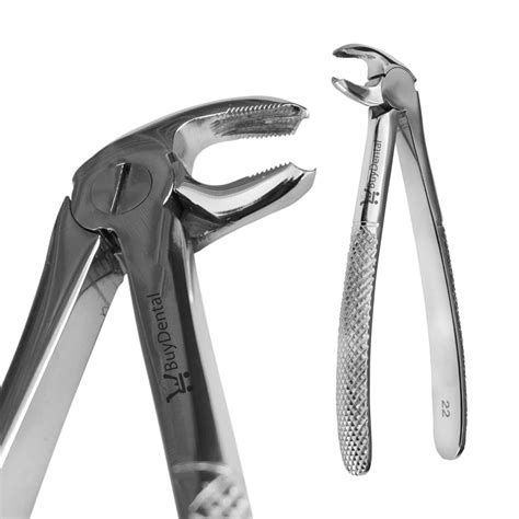 Lower Molar Extraction Forcep Buydental Uae