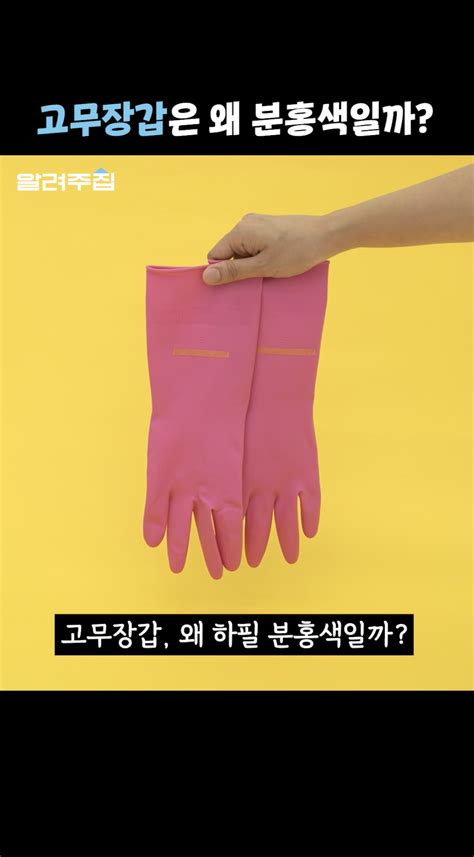 알려주집 고무장갑 왜 하필 분홍색일까 오늘의 숏 beta