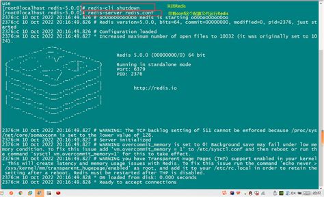 续1009vuejwtredis，token单点登录setsigningkey盐值 Csdn博客