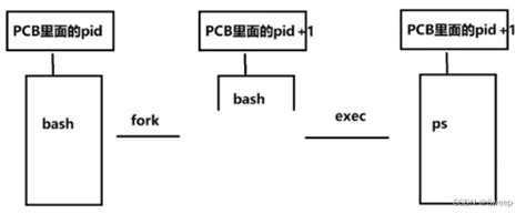 Linux——进程替换exec、exec系列函数、习题演示linux Exec函数例题 Csdn博客