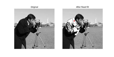 Flood Fill Skimage Scikit Image