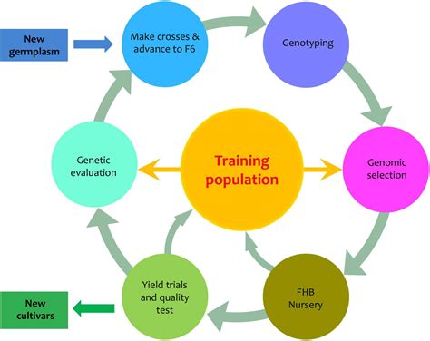 数学代写统计机器学习作业代写statistical Machine Learning代考genomic Selection 代写 代考