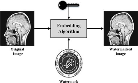 Process Of Hiding The Watermark Download Scientific Diagram