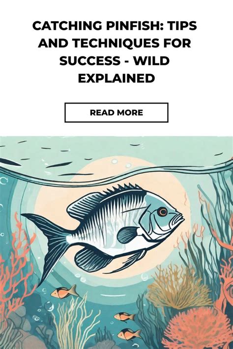 Catching Pinfish Tips And Techniques For Success Wild Explained Catch Techniques Cat Vitamins