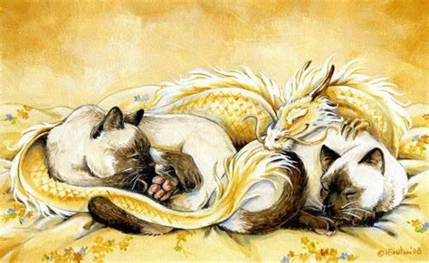 Pin By Youcave On Dragons Dragon Cat Dragon Artwork Dragon Pictures