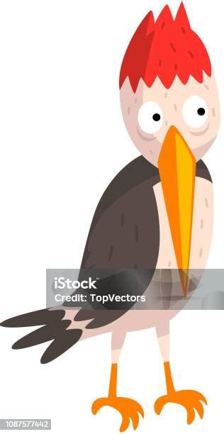 흰색 바탕에 귀여운 재미 딱따구리 새 만화 문자 벡터 일러스트 레이 션 귀여운에 대한 스톡 벡터 아트 및 기타 이미지 귀여운 기이함 깃털 Istock