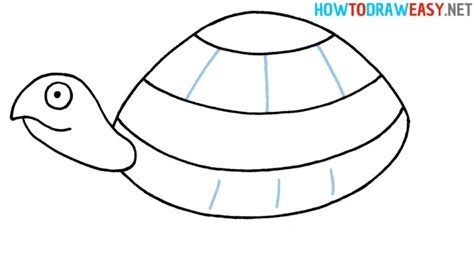 How To Draw A Turtle How To Draw Easy