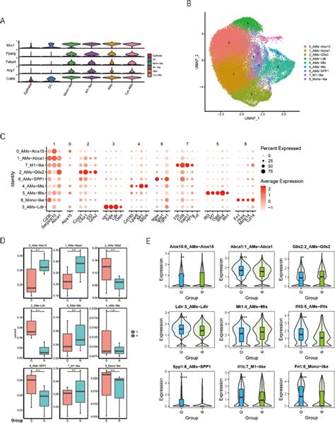 Analysis Of Macrophage Subpopulations A Violin Plots Of Normalized