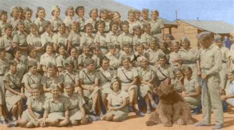 Gentlemans Pride Wojtek The Bear That Fought The Nazis