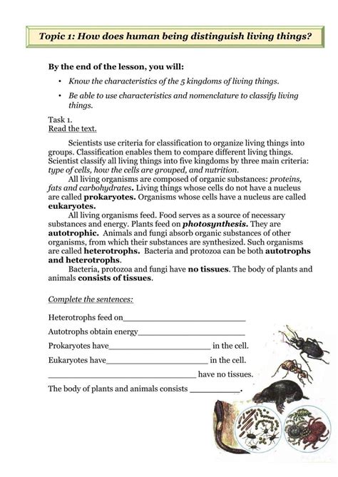 Living Things Classification Worksheet Live Worksheets Worksheets