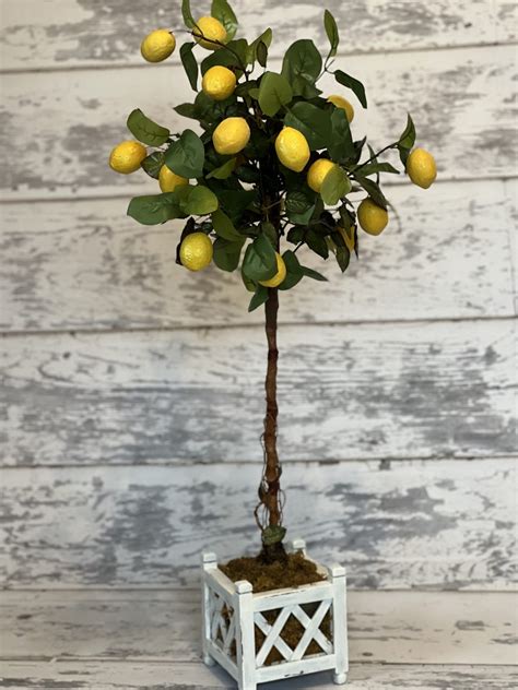 Diy Lemon Tree Re Fabbed