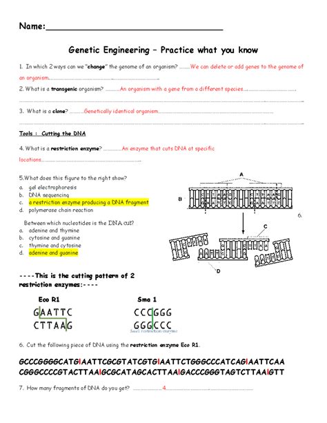 Genetic Engineering Practice Key Name