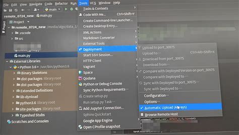 pycharm 远程连接服务器并且debug 支持torch distributed launch debug 无左无右 博客园