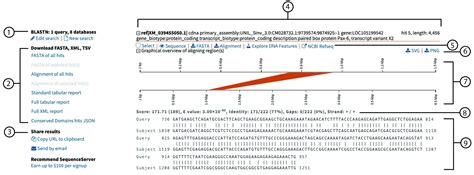 Nucleotide Blast Pombase Documentation Gene Page Sequence