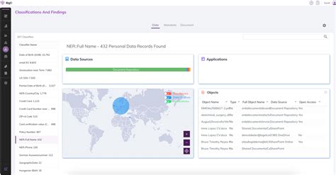 Data Classification Bigid