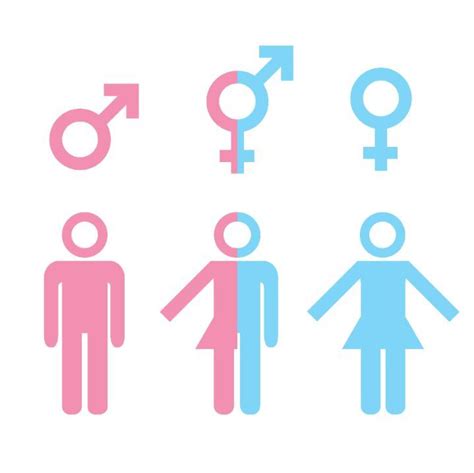 A Diferen A Entre Sexo Identidade De G Nero E Orienta O Sexual Soul Sbi Amino