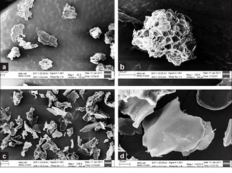 Figure 2 From Development Of Non Effervescent Floating Matrix Tablets Based On Euryale Ferox