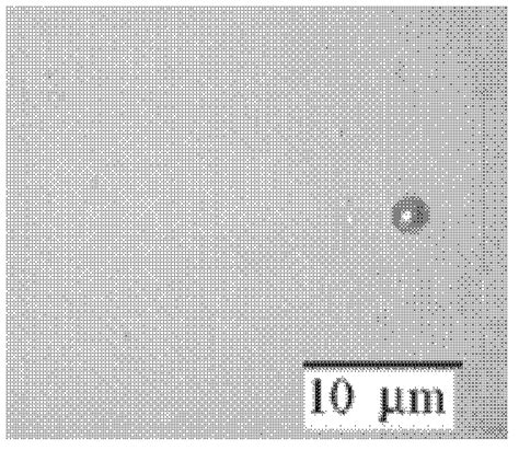Polymethyl Polyglycol Methacrylate Containing Paracetamol Structure As