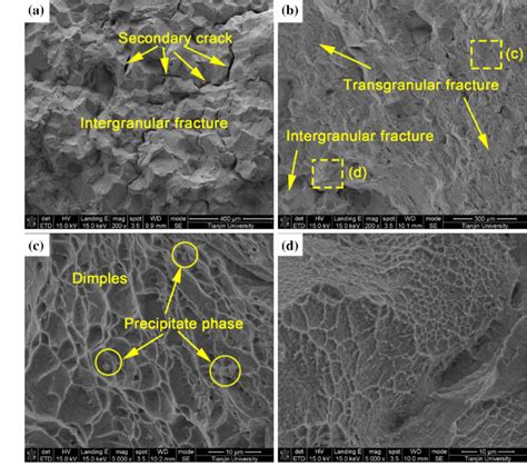 The Fracture Surface Of Specimen Tested At The Temperature Of 750 °c Download High