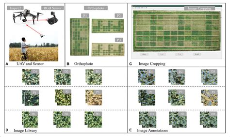 Unmanned Aerial Vehicle Dataset At Indiana Seery Blog