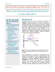 Exploring Enzyme Activity In Biology Investigative Lab Study Course Hero