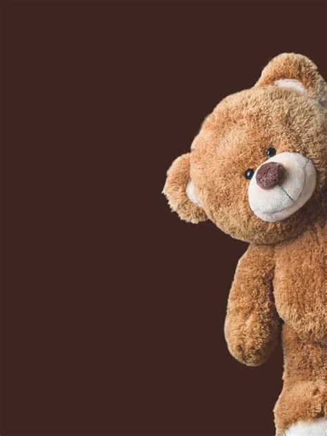 ภาพพักหน้าจอคอมหมีบราวน์กระดึบ การค้นหาใน Lemon8