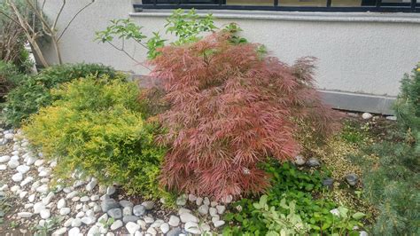 თემურ გურეშიძე ბაღის დიზაინი Garden Design By Temur Gureshidze Home Facebook