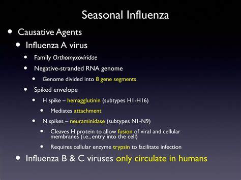Influenza Ppt