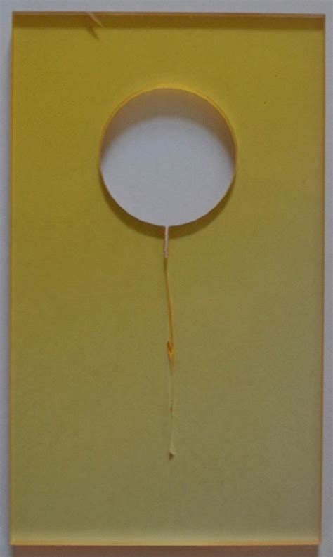 Crack Pattern After The Experiment Download Scientific Diagram