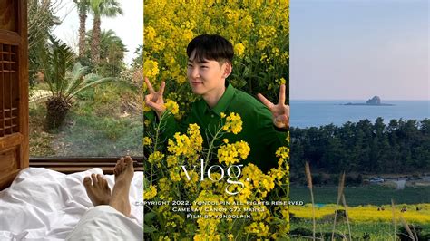 제주도 여행 브이로그 🍊ㅣ한옥 독채에서 보내는 2박 3일ㅣ제주 인생 포토 스팟ㅣ산방산 유채꽃 아르떼 뮤지엄 오설록 사려니 숲 길 제주 파인다이닝 Youtube