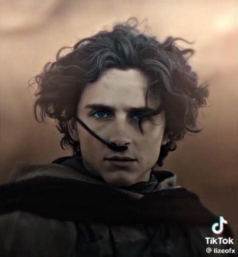 That Man Vidéo Timothée Chamalet Actrice Photos De Célébrités