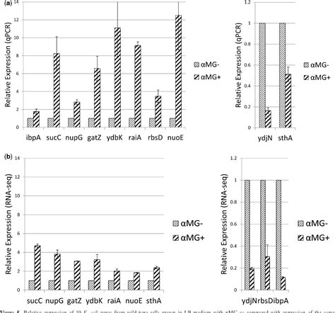 Figure From Computational Analysis Of Bacterial RNA Seq Data