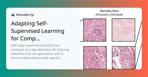 Adapting Self Supervised Learning For Computational Pathology Ai Research Paper Details