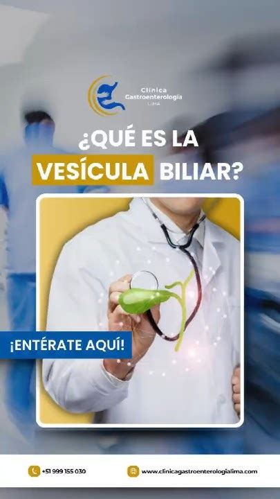 ¿para Qué Sirve La VesÍcula Biliar Y Qué Pasa Si Falla 🤔😱 Youtube