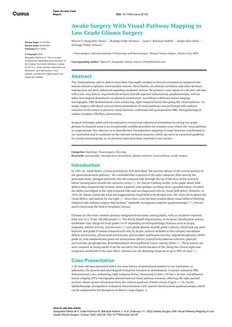 Pdf Awake Surgery With Visual Pathway Mapping In Low Grade Glioma Surgery