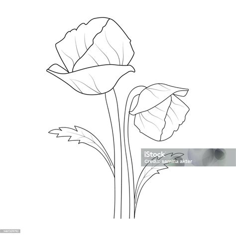 아이들을 위한 간단한 양귀비 꽃 색칠 페이지 아이들과 함께 양귀비 꽃 그리기 식물 양귀비 꽃 그리기 흑백 양귀비 꽃 그림 꽃 식물에 대한 스톡 벡터 아트 및 기타 이미지