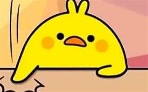Aquí El Origen Y Los Mejores Memes Del Pollito Se Tenía Que Decir Y Se