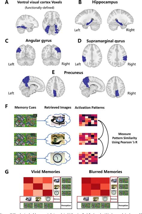 Figure 1 From Probing The Neural Dynamics Of Mnemonic Representations