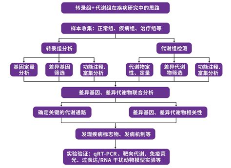 从经典案例看转录组 代谢组在疾病研究中的思路 知乎