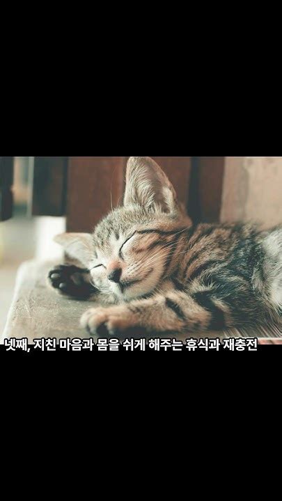 자기계발에 중요한 시간관리 방법 Youtube