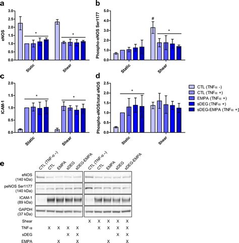 Protein Expression Quantification At Emma Spyer Blog