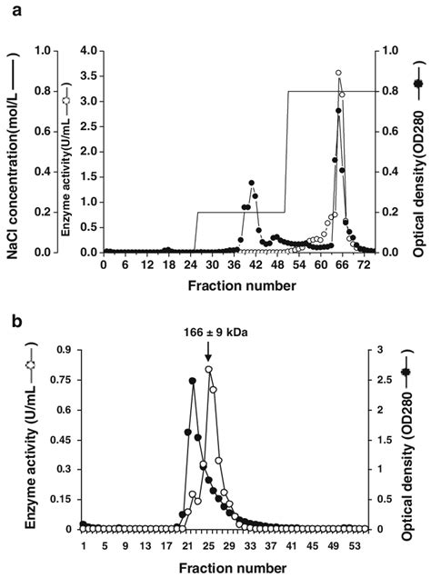 Purification Of The Alkaline Phosphatase From Sea Cucumber Stichopus Download Scientific