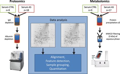 Workflow For Accessing Proteins And Small Molecules In Serum The Download Scientific Diagram