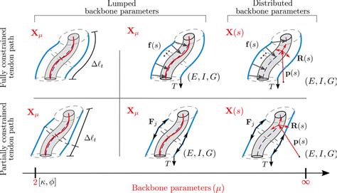 frontiers how to model tendon driven continuum robots and benchmark modelling performance