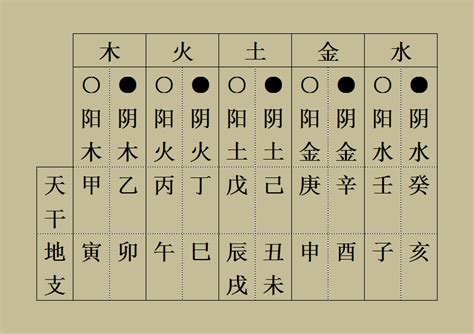 12地支五行属性对照表图（12地支阴阳五行属性表） 命理知识网